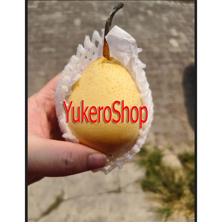 Jual Pir Yali - Pear Yalie per 1 KG | Shopee Indonesia