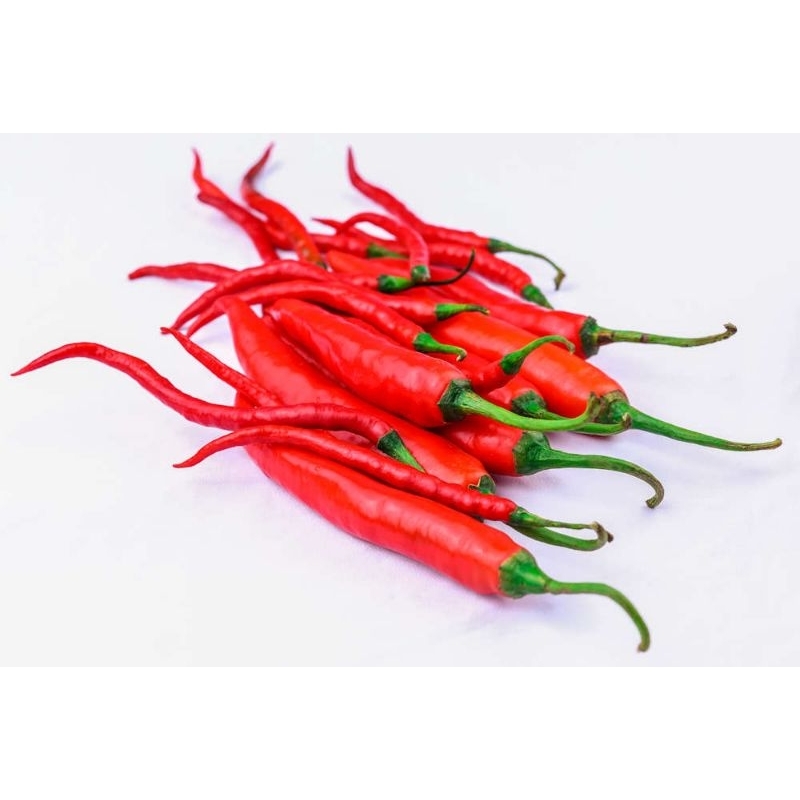 Jual Cabe merah besar | Shopee Indonesia