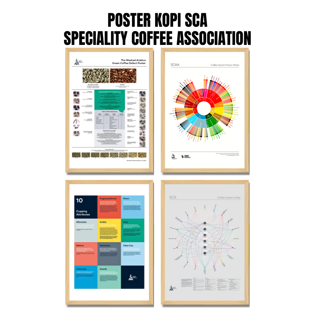 Jual Poster Barista SCA Kopi Spesialti Pajangan Dinding A3+ Bingkai ...