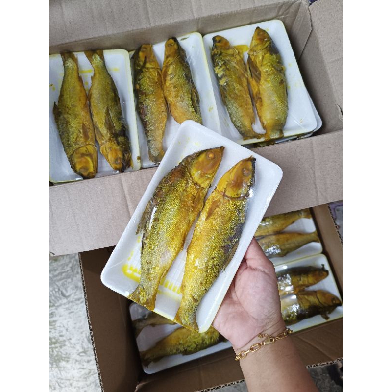Jual BANDENG PRESTO ISI 2 JUMBO | Shopee Indonesia