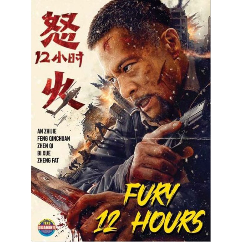 Jual DVD MANDARIN FURY 12 HOURS (2024) | Shopee Indonesia