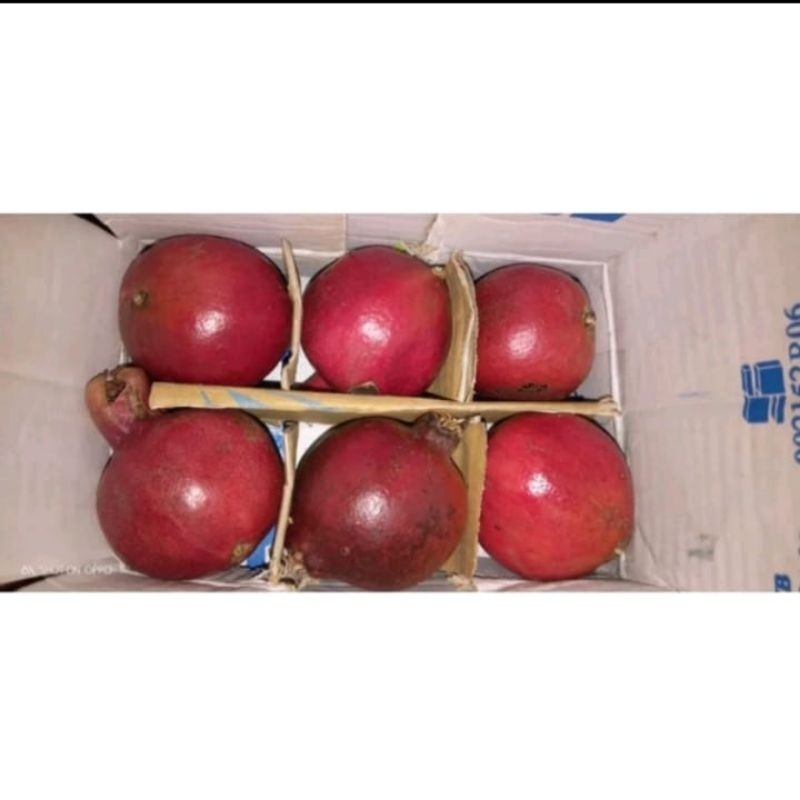 Jual BUAH DELIMA MERAH | Shopee Indonesia
