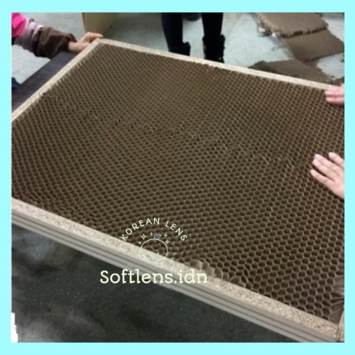 Jual HONEYCOMB CORE COAT PAPER ISIAN PANEL PINTU KAYU FURNITURE - Tebal ...