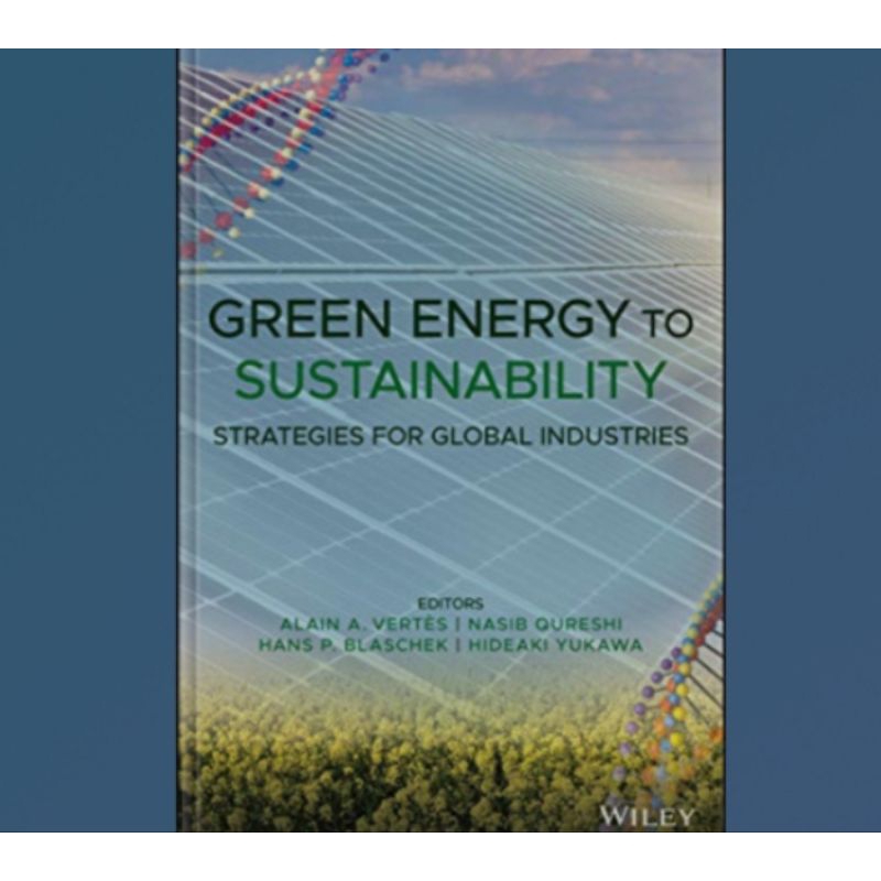 Jual Buku Green Energy to Sustainability: Strategies for Global Industries | Shopee Indonesia