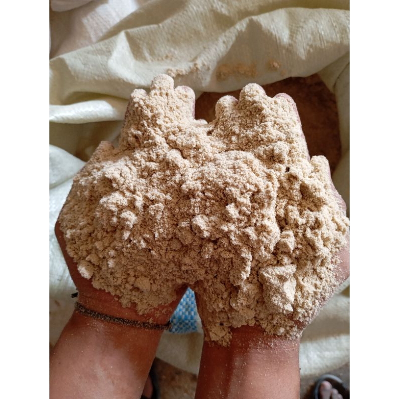 Jual Katul Kebi - bahan baku pakan ternak - 1 kg | Shopee Indonesia