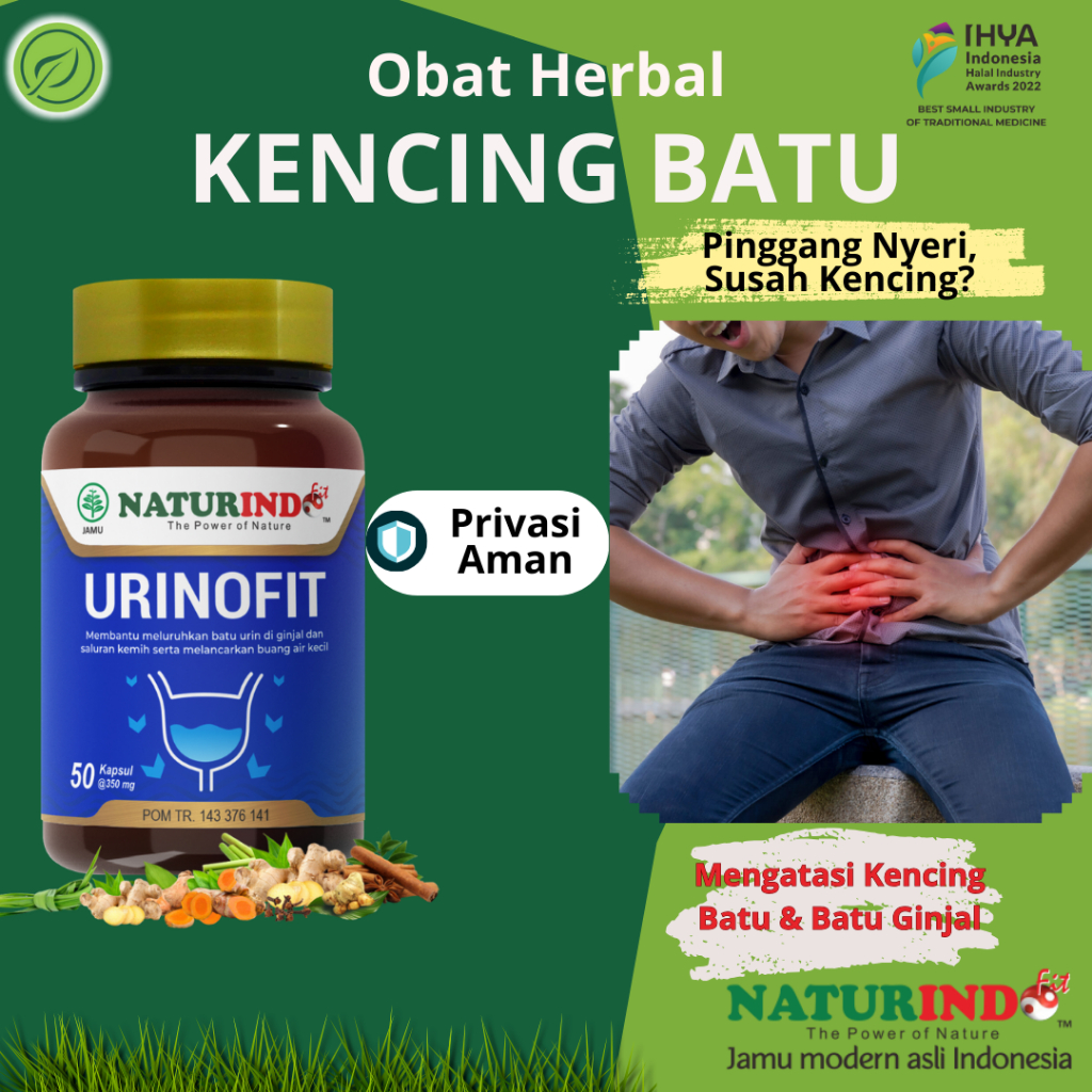 Jual Obat Herbal Batu Ginjal Obat Kencing Beser Infeksi Saluran Kemih Gagal Ginjal | Shopee ...