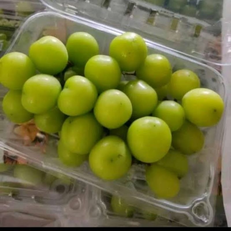 Jual anggur shine muscat pack | Shopee Indonesia