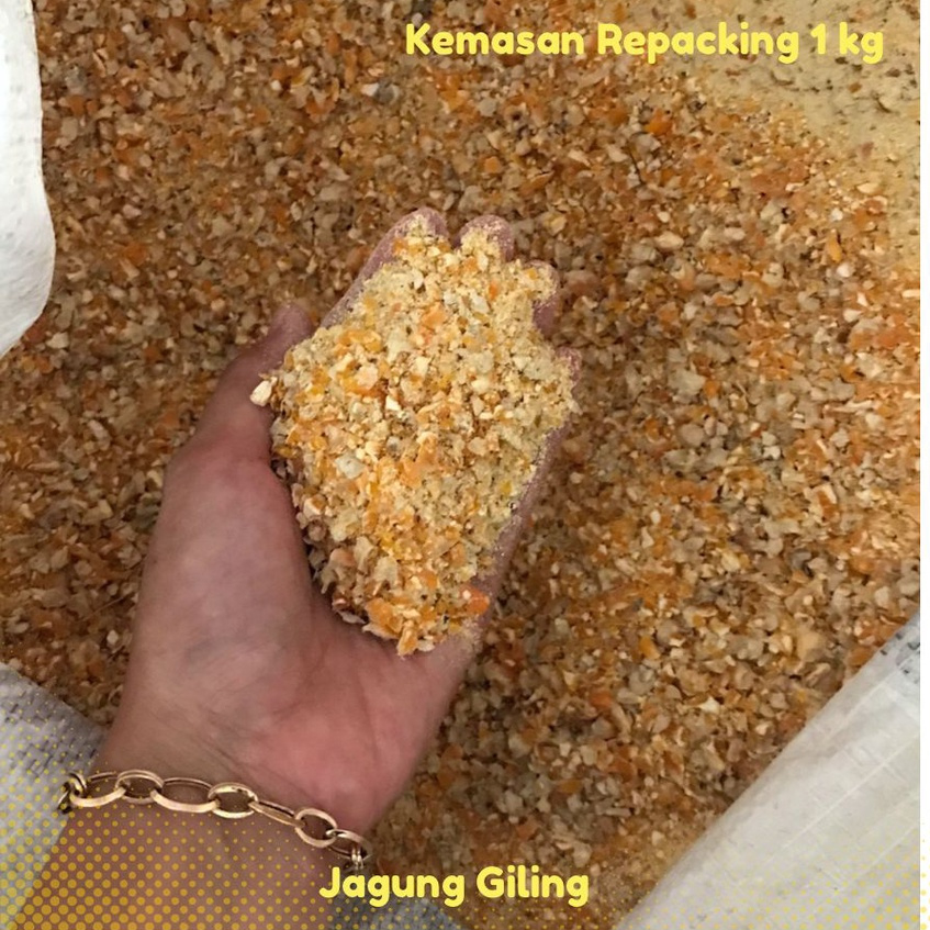 Jual JAGUNG GILING UNTUK PAKAN TERNAK / PAKAN UNGGAS 1Kg | Shopee Indonesia