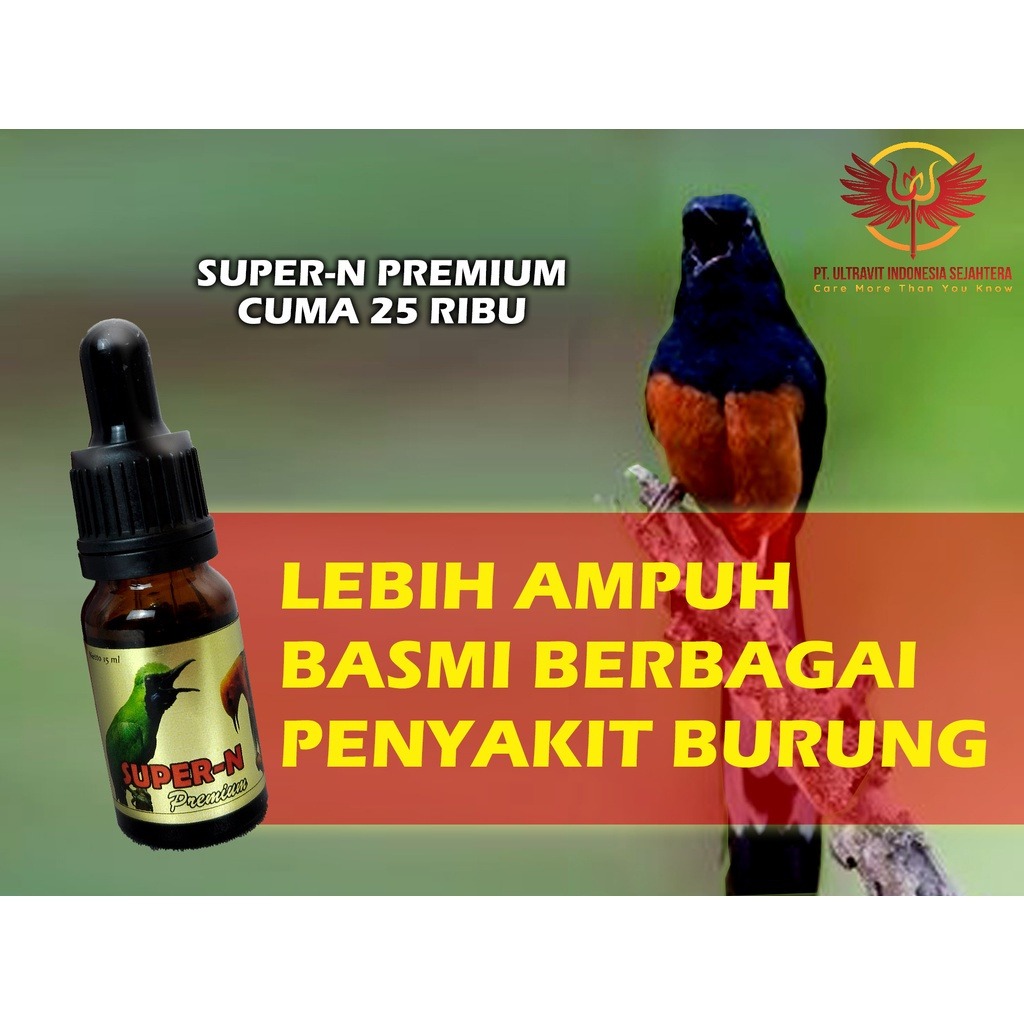 Jual SUPER N PREMIUM OBAT BURUNG LESU NAFSU MAKAN TURUN PALING AMPUH ...