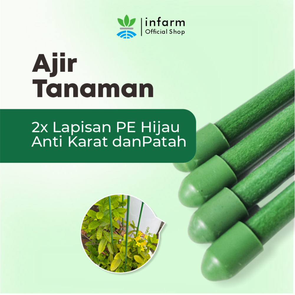 Jual INFARM - Ajir Tongkat Penyangga Tanaman Rambat Ukuran 75 cm Anti ...