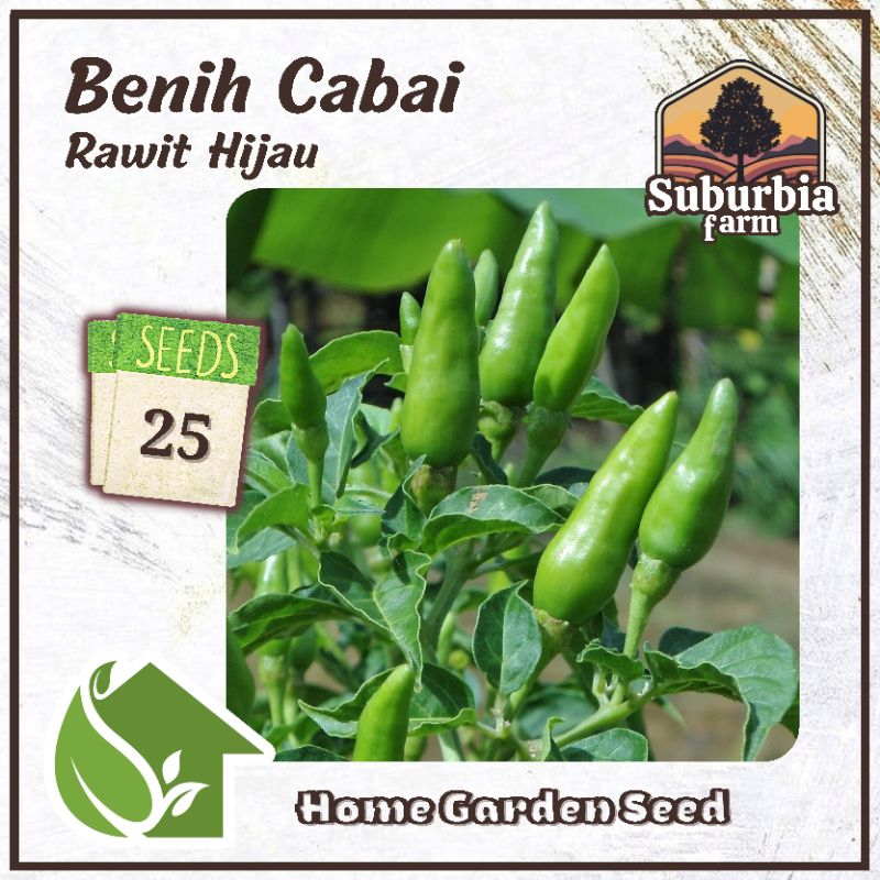 Jual 25 Biji Benih Cabai Rawit Hijau Bibit Cabe Rawit Dataran Rendah | Shopee Indonesia