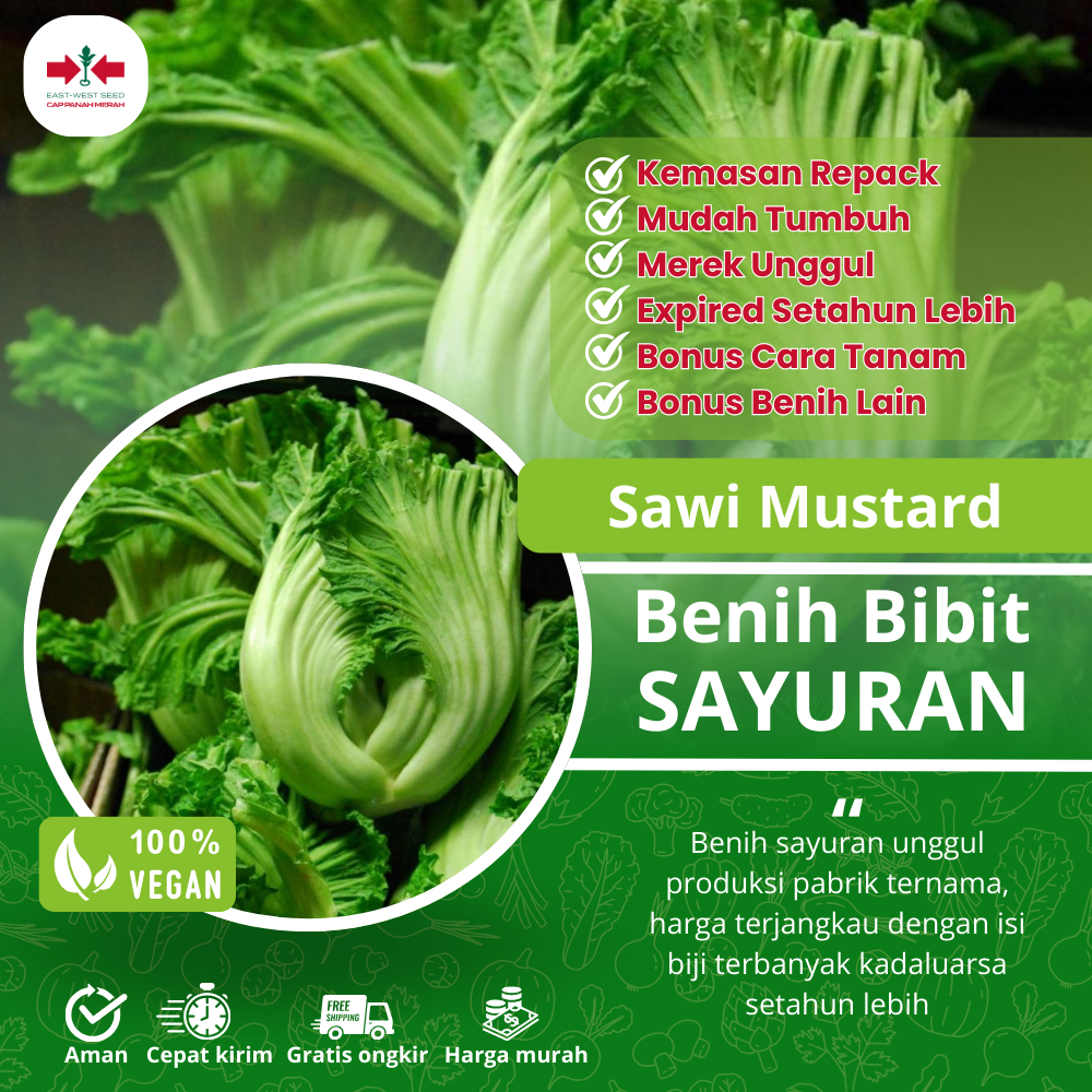 Jual SUTAN Bibit Sawi Mustard Unggul Benih Tanaman Sayur Sayuran Benih ...