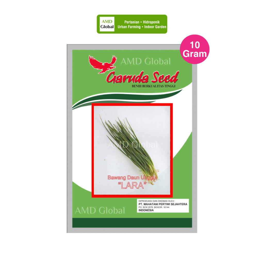 Jual Benih Daun Bawang Lara / Bakung / Loncang Garuda Seed Isi 10 Gram ...