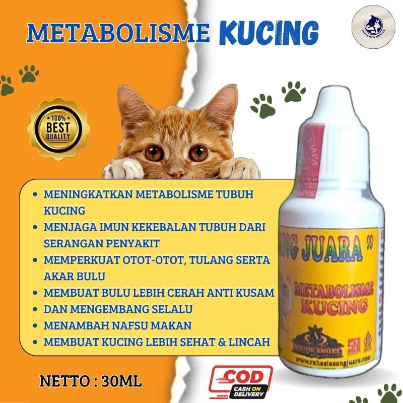 Jual VITAMIN KUCING METABOLISME KUCING 30ml | Shopee Indonesia