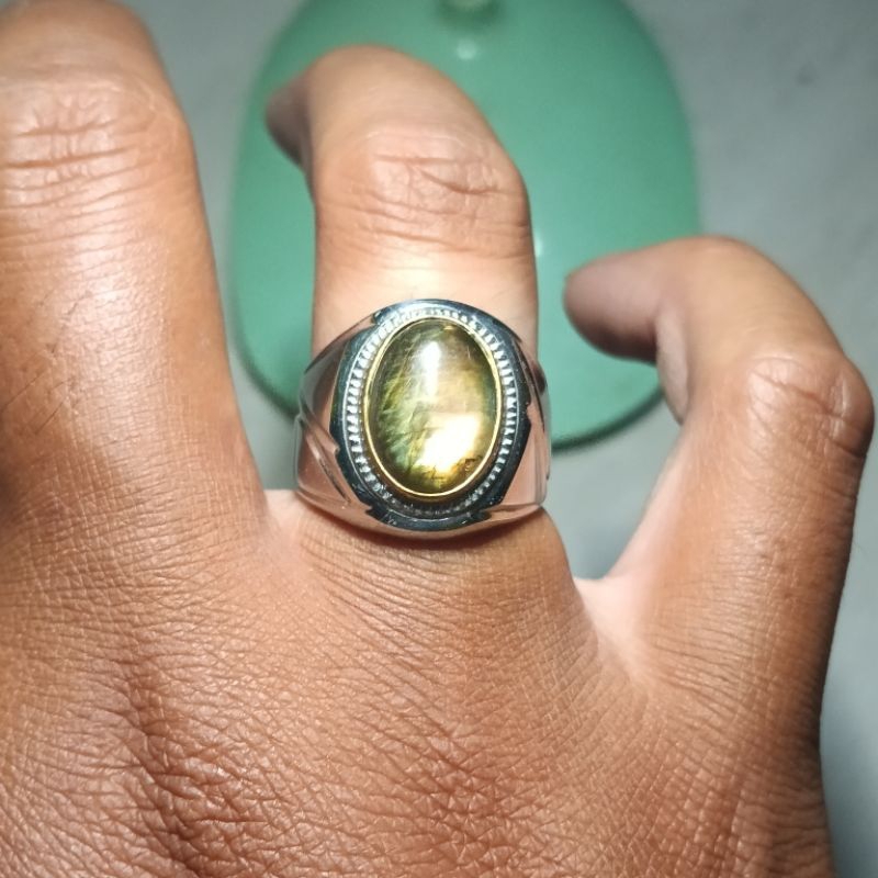 Jual Labrador ring monel ukuran 8 | Shopee Indonesia