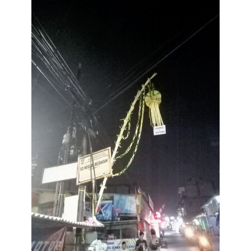 Jual Janur kuning Pernikahan/khitanan asli segar CIMAHI BDG PADALARANG ...