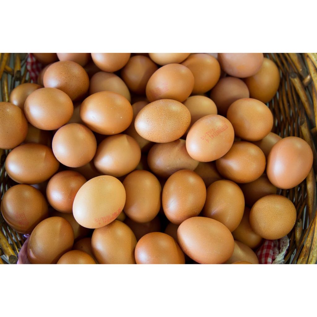 Jual Egg / Telur Pack Isi 10 All Varian Happy Egg Daily Fresh, Omega ...