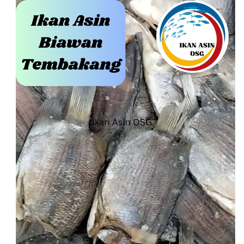 Jual ikan asin biawan / tembakang 500gr | Shopee Indonesia
