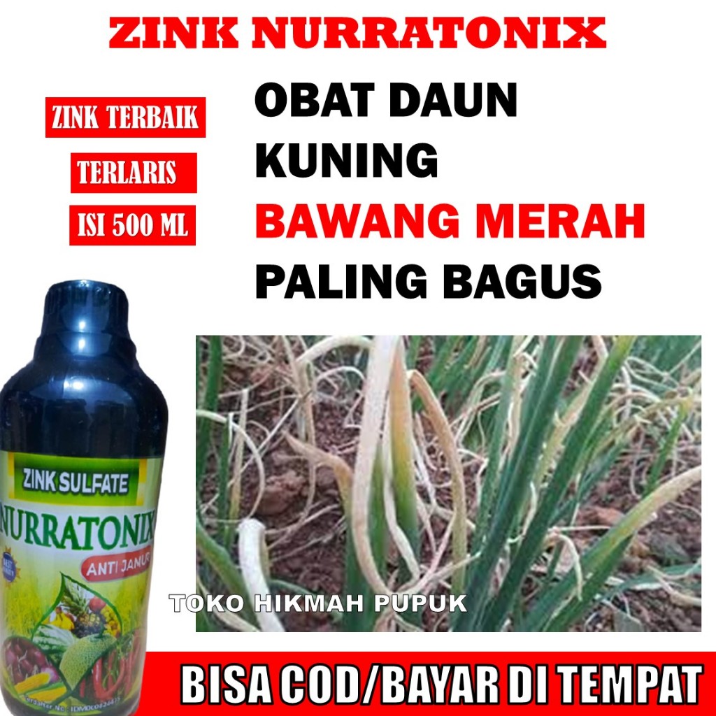 Jual OBAT PENYAKIT BAWANG MERAH DAUN KUNING PALING BAGUS 500 ML, Pupuk ...