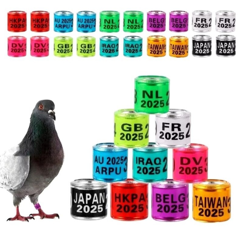 Jual RING MERPATI 2025 (10 BIJI) (TIDAK BISA PESAN NAMA) | Shopee Indonesia