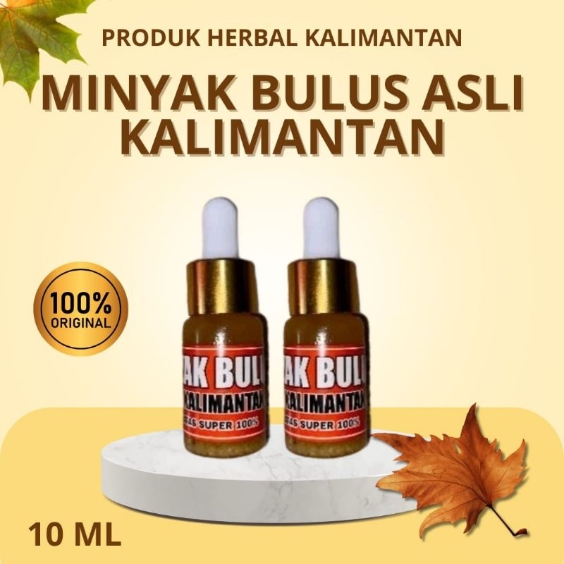 Jual Minyak Bulus Asli Kalimantan Ukuran 10 ml | Shopee Indonesia