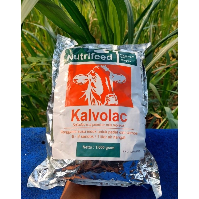Jual kalvolac nutrifeed pengganti susu induk sapi dan kambing | Shopee ...
