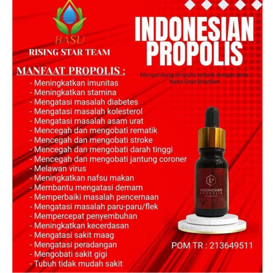 Jual INDONESIAN PROPOLIS NANOPROPOLIS | HERBAL BERKUALITAS 1 BOX ISI 2 ...