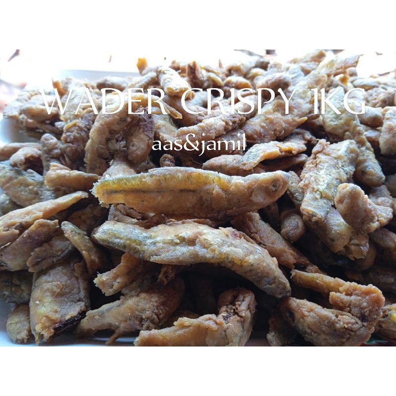 Jual WADER CRISPY 1KG/ ikan paray / ikan Bilih / wader 1kg original ...
