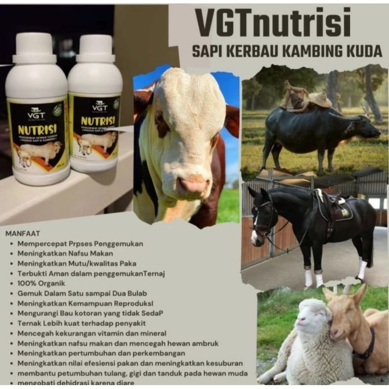 Jual VGT nutrisi ternak sapi, kambing | Shopee Indonesia