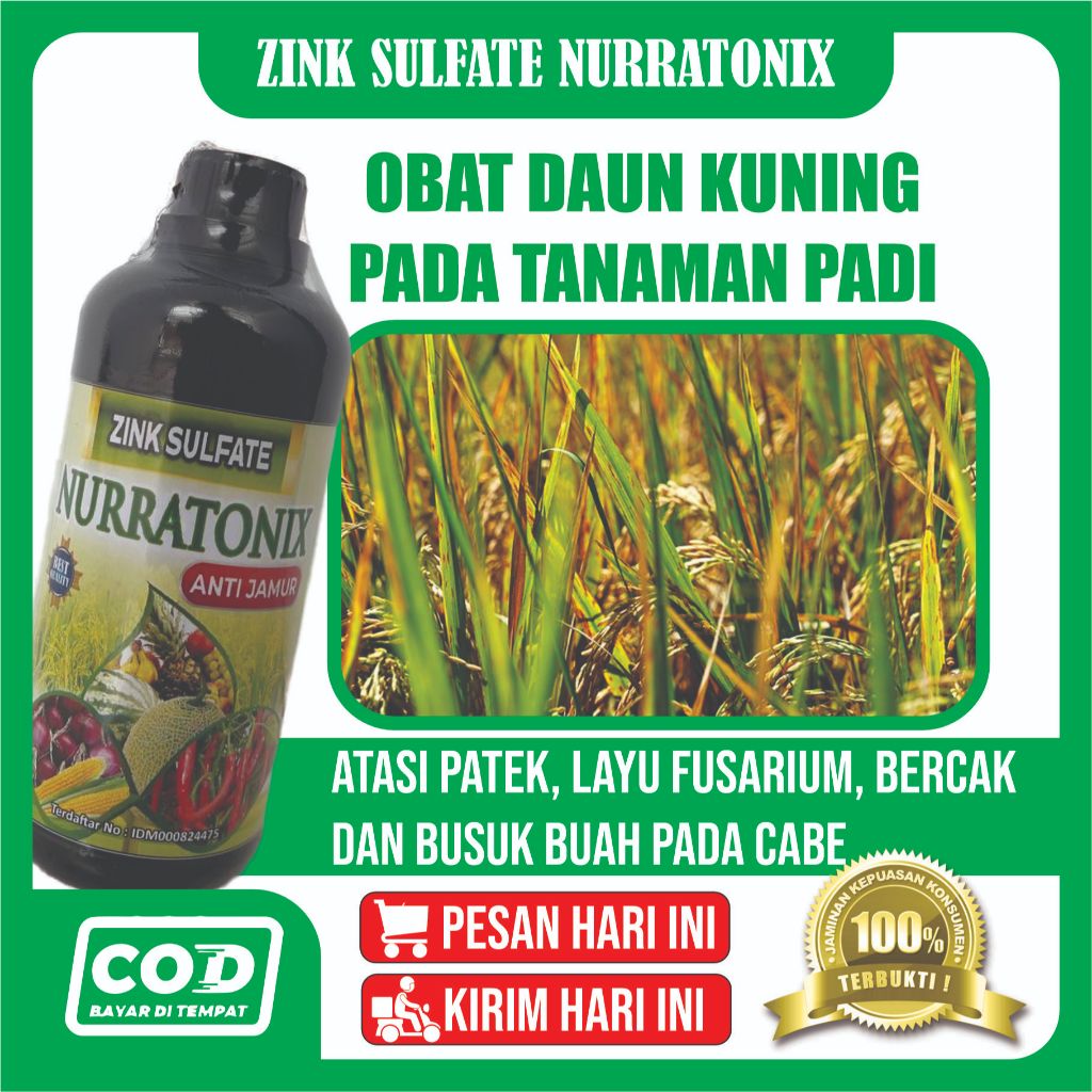 Jual Obat Kresek Daun Kuning Pada Padi ZINK NURRATONIX 500 ML Obat Hama ...