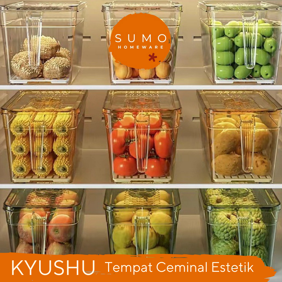 Jual SUMO - KYUSHU Wadah Kulkas Sayur Buah Multifungsi Kotak ...