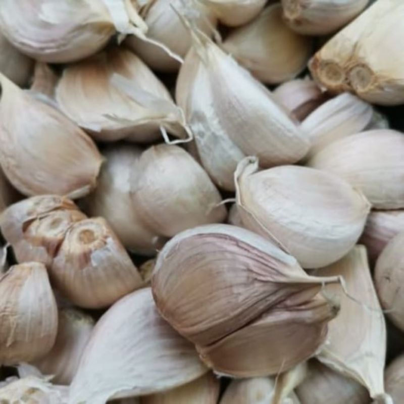 Jual Bawang Putih Kating Super Besar 1kg | Shopee Indonesia