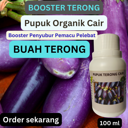 Jual Pupuk Terong | Pupuk Booster Pemacu Bunga Dan Buah Terong, Pelebat Penyubur | Pupuk Organik ...