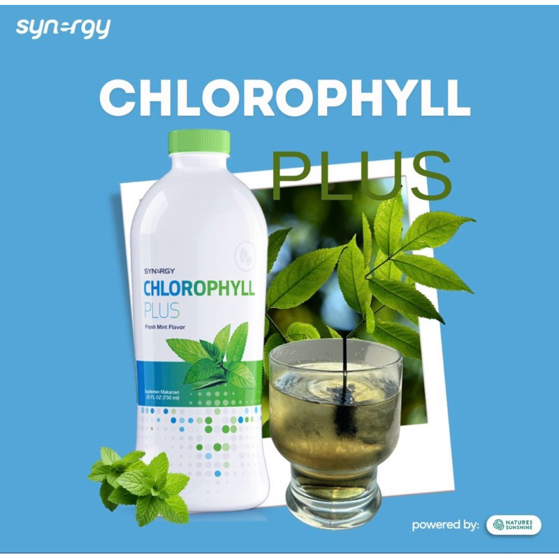 Jual Chlorophyll Plus Synergy | Shopee Indonesia
