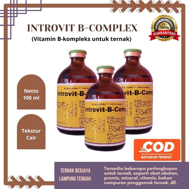 Jual Introvit-B-Complex 100 ml - injeksi vitamin b-kompleks | Shopee ...