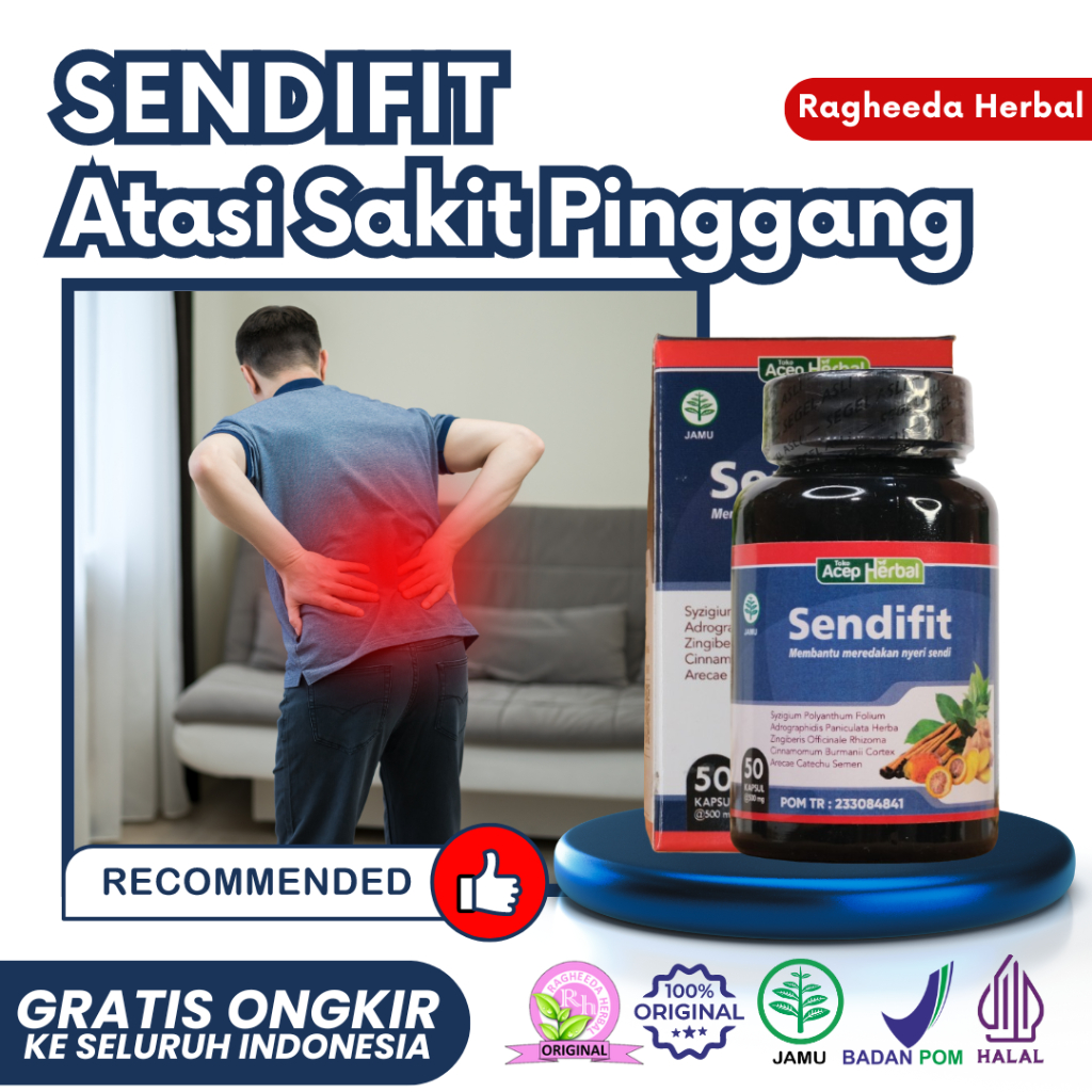 Jual Sendifit Original Obat Sakit Sendi - Pinggang - Punggung - Pinggul ...