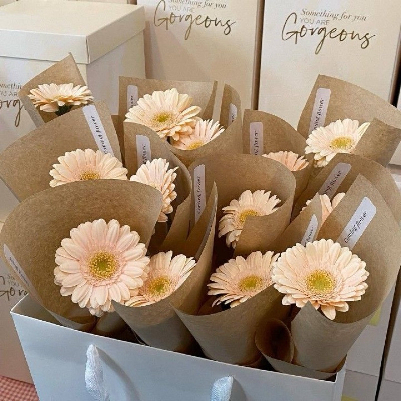Jual single daisies bouquets buckef buket bunga daisy garbera single ...