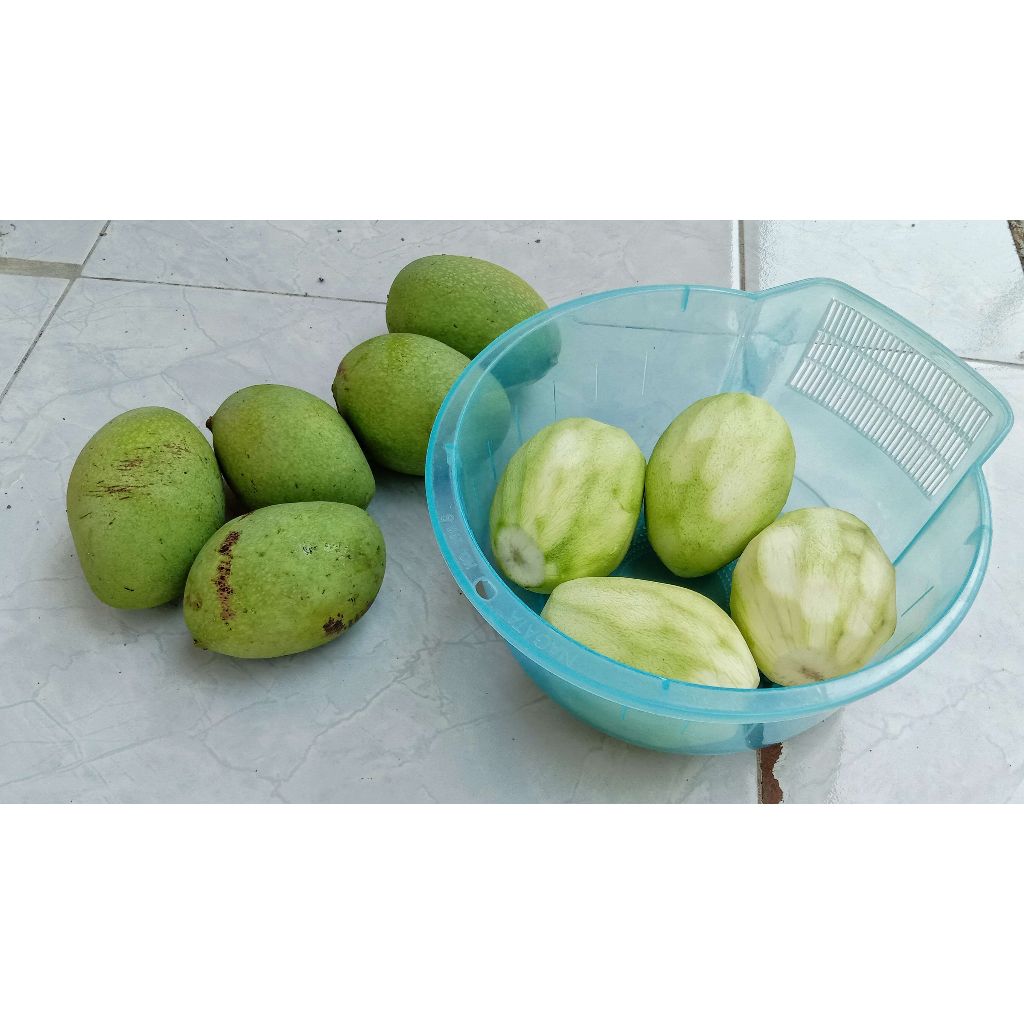 Jual Mangga Muda / Mangga Pencit 1kg Fresh | Shopee Indonesia