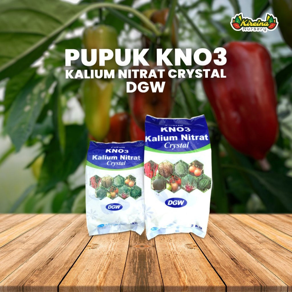 Jual KNO3 Kalium Nitrat Crystal DGW 2 Kg | Shopee Indonesia