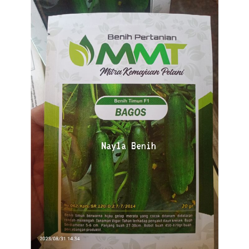Jual Benih Mentimun BAGOS F1 dari MMT | Shopee Indonesia