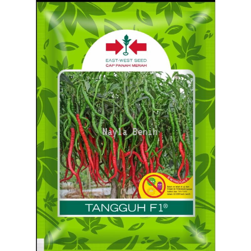 Jual Benih Cabai Keriting TANGGUH F1 | Shopee Indonesia