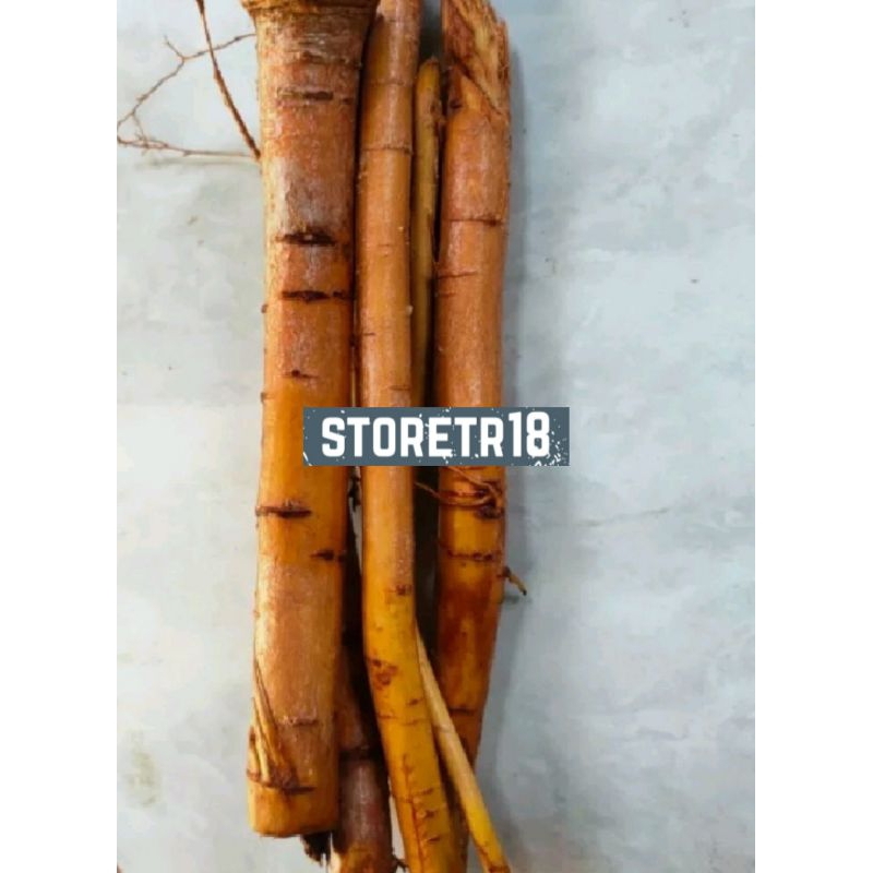 Jual Jual Akar Tuba Akar Jenu Pestisida Organik Paket 500 Gram | Shopee ...
