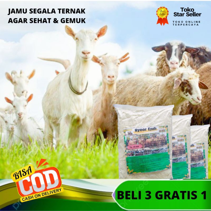 Jual VITAMIN KAMBING JAMU PENGGEMUK DOMBA NYEOR EJUH EXTRA GULA ...