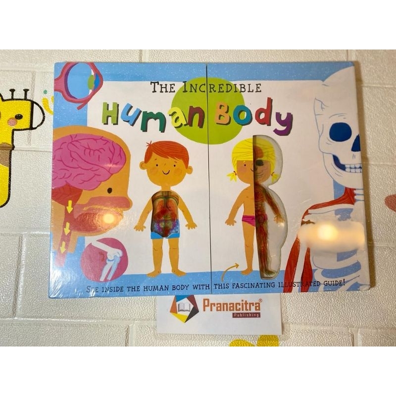 Jual Buku Anak Board Book The Incredible Human Body | Shopee Indonesia