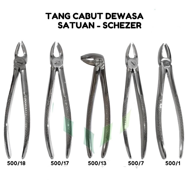Jual Dental Tooth Forceps Adult/ Tang Cabut Gigi Dewasa Schezer Germany ...
