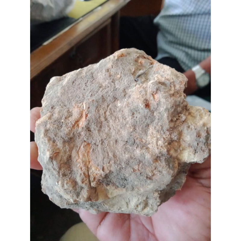 Jual kemenyan asli hutan batu kemenyan | Shopee Indonesia