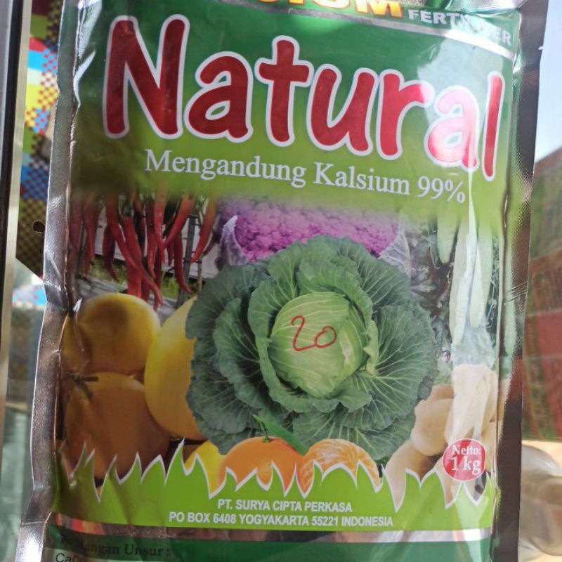 Jual PUPUK CALSIUM SUPER NATURAL MENGANDUNG KALSIUM 99% KEMASAN 1KG ...