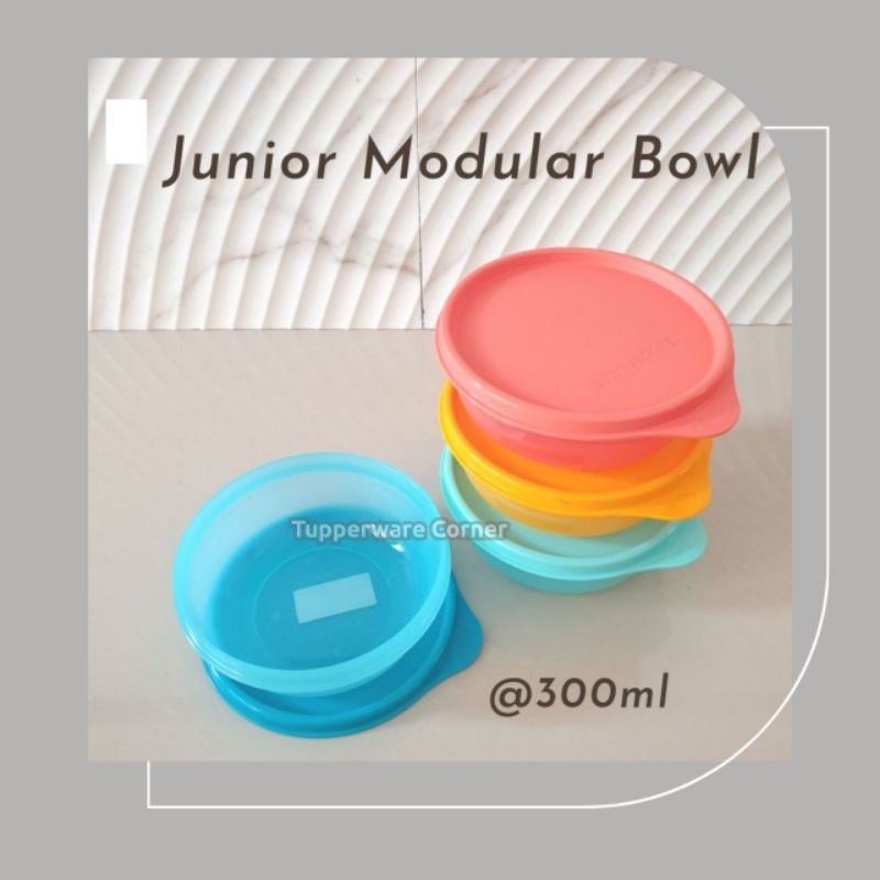 Jual TUPPERWARE // Tempat Makan // Junior Modular Bowl 300ml | Shopee ...