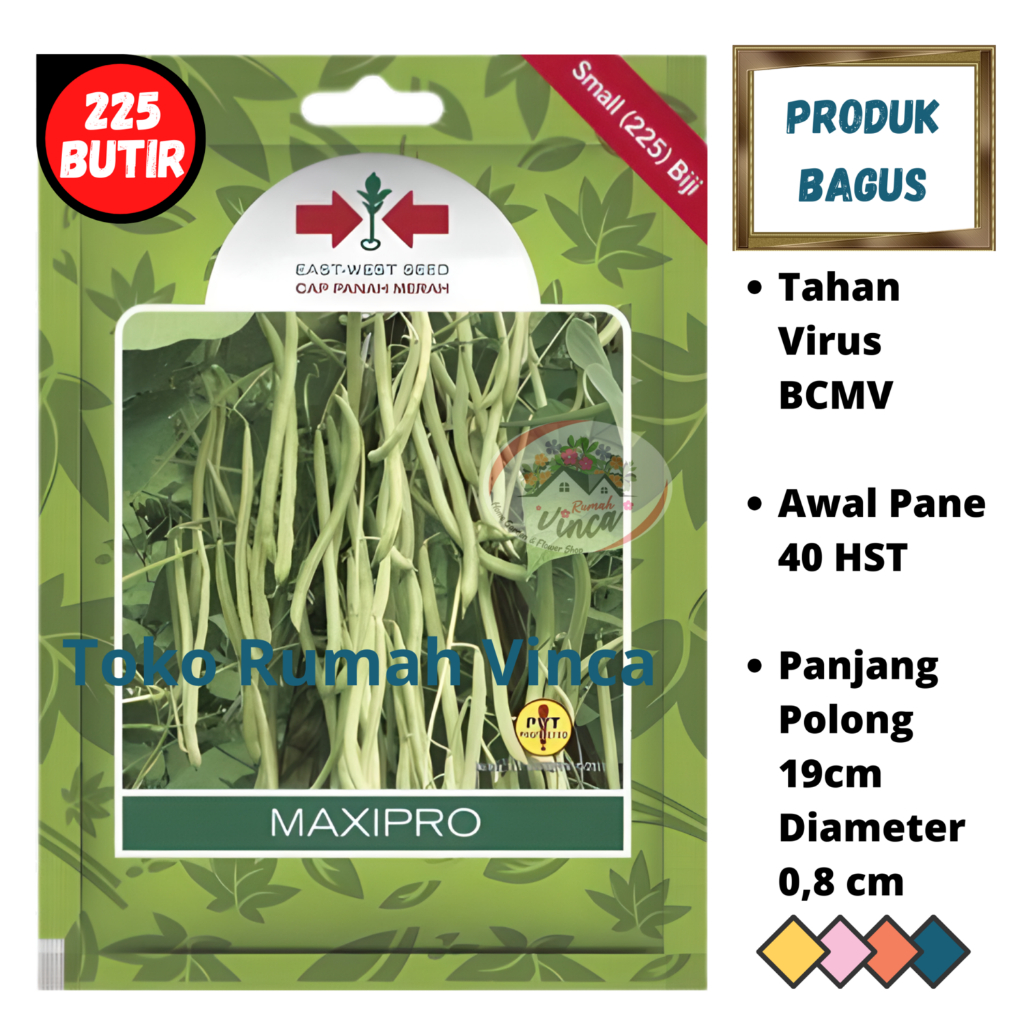 Jual Bibit Benih Buncis Manis MAXIPRO 225 Butir Cap Panah Merah Tanaman ...