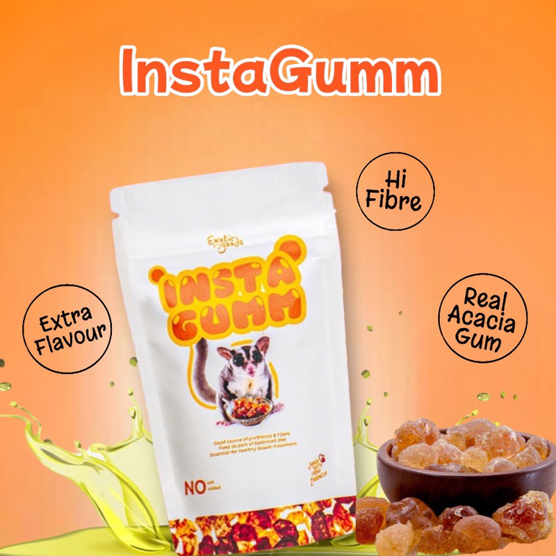 Jual INSTAGUMM 50g INSTAN ACACIA GUM SUGAR GLIDER MAKANAN MARMOSET ...